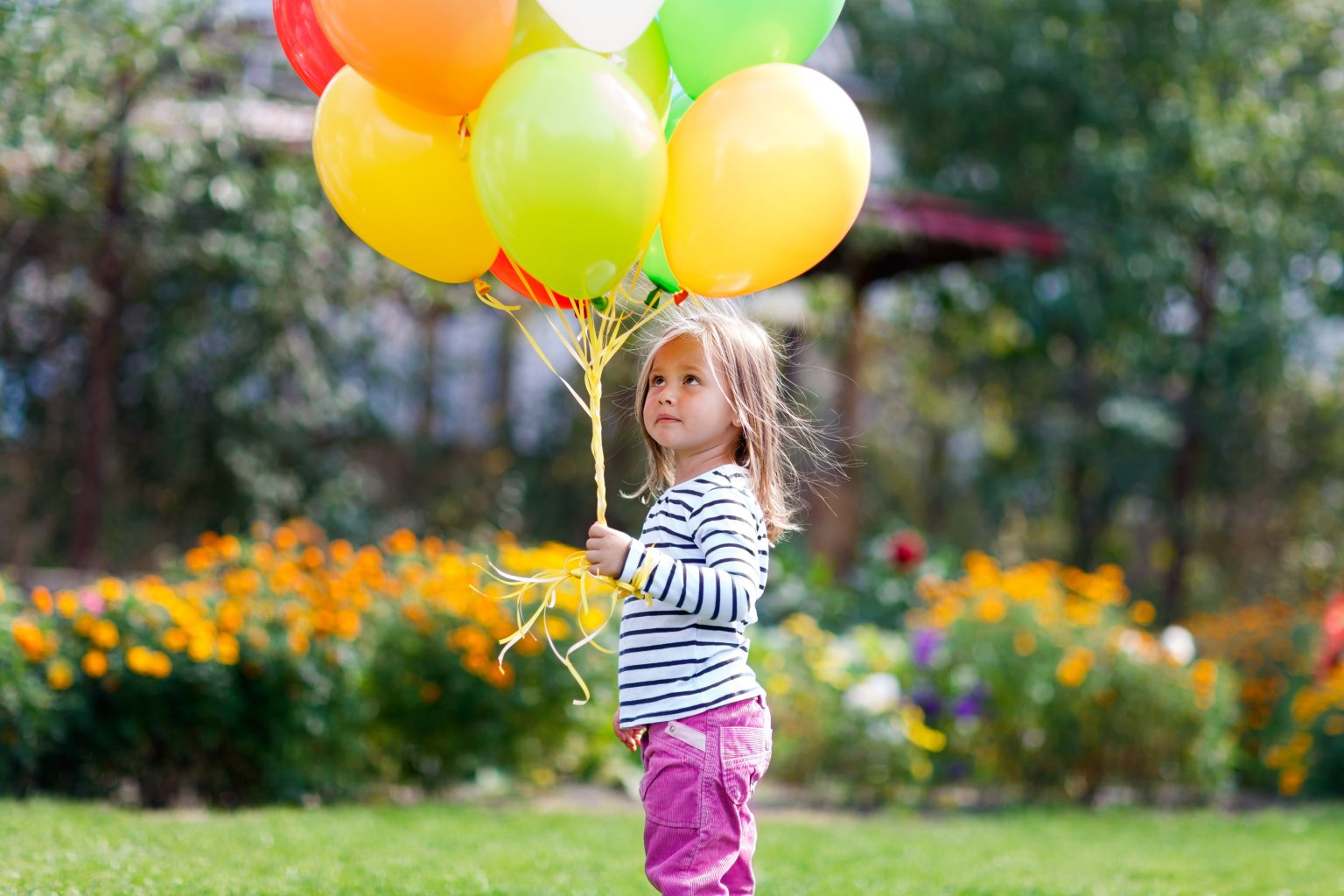 Tips for Planning a Preschool Birthday Party - Legacy Academy ...